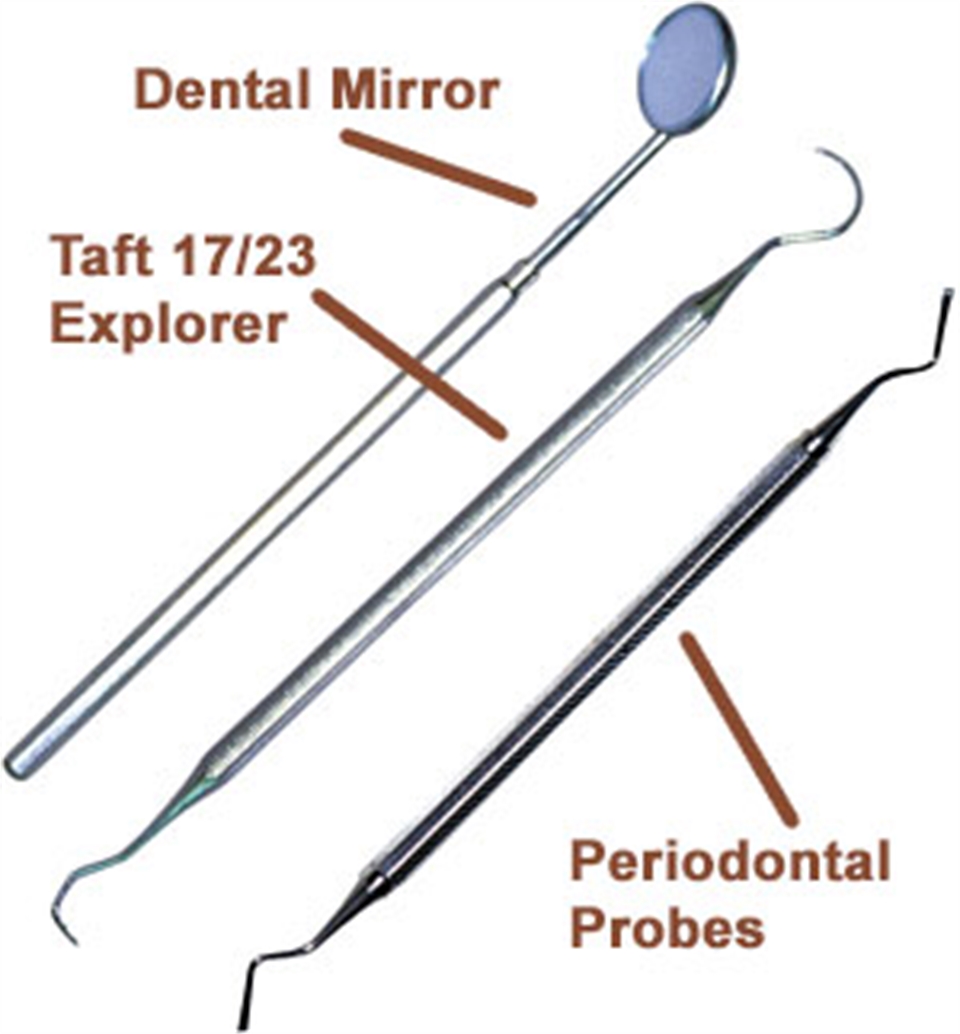 Mouth Explorer | Dentagama