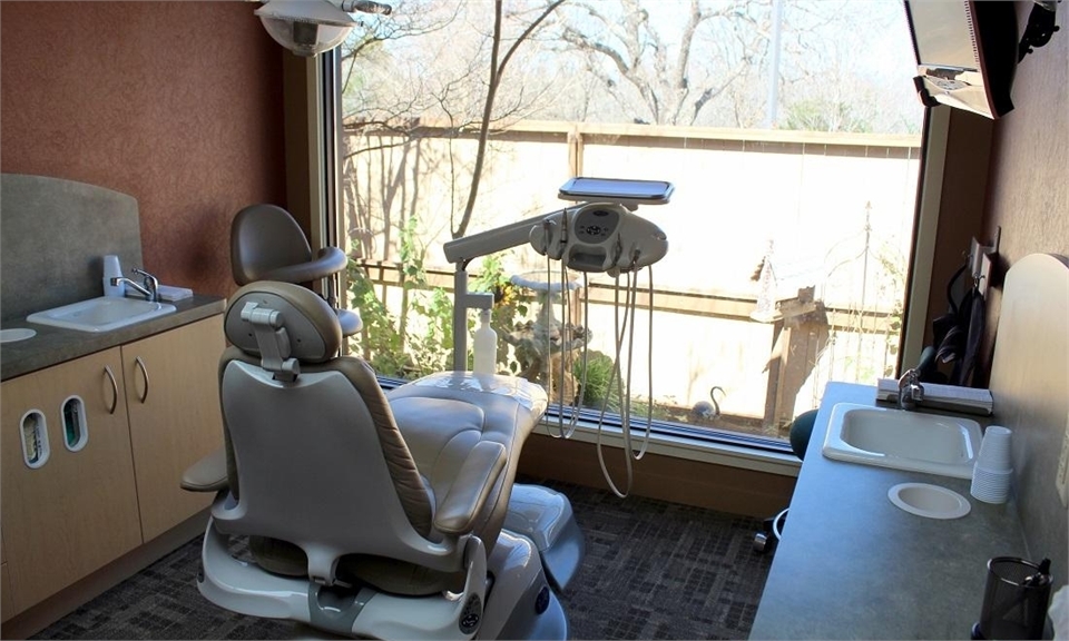 Operatory Room | Dentagama